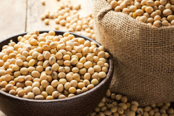 The Dangers of Soy– PointBlank Nutrition